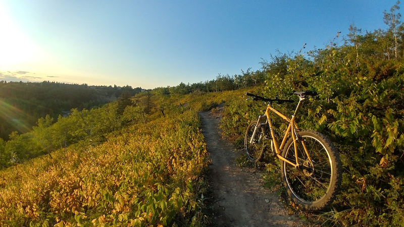 Beautiful large brodie rocket steel mountain bike For Sale