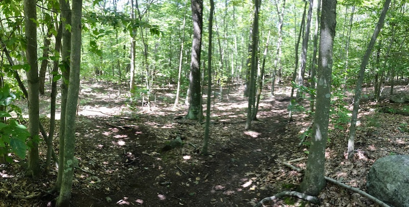 Naugatuck State Forest / Quillinan Reservoir Mountain Biking Trails ...