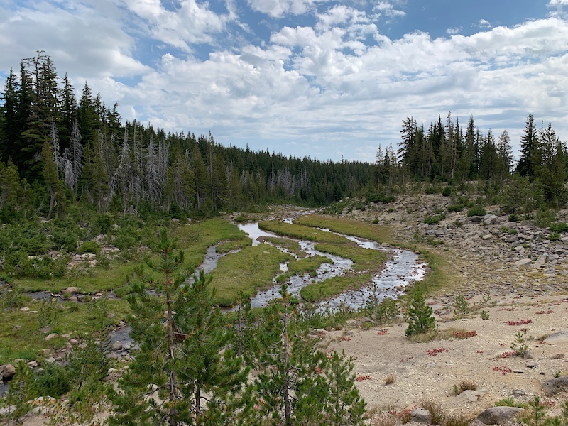 Metolius-Windigo Mountain Biking Trail - Bend, Oregon