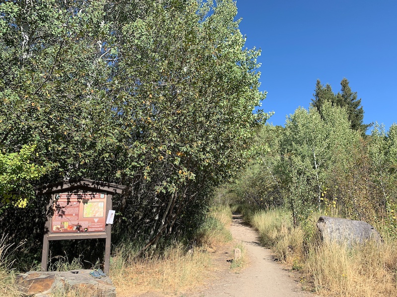 West Fork Mink Creek Mountain Biking Trail - Pocatello