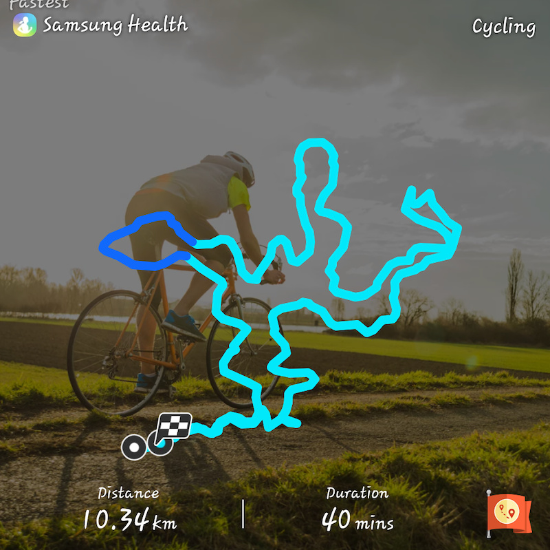 Ferny Forest Loop Mountain Biking Trail - Glenview