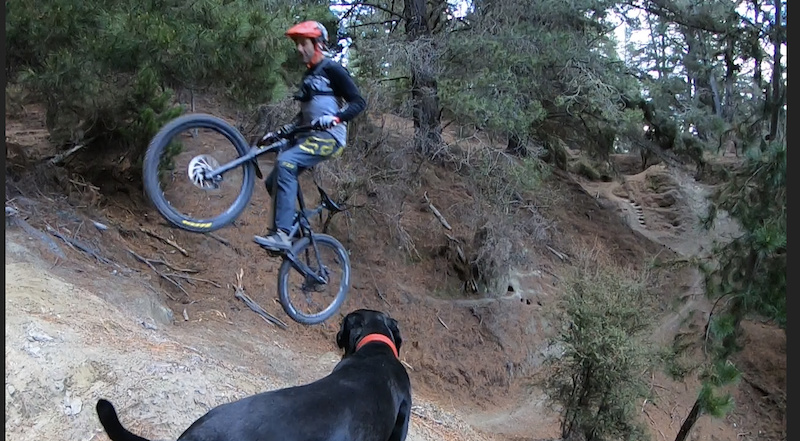 Ivan Major Mountain Biking Trail - Wānaka | Trailforks