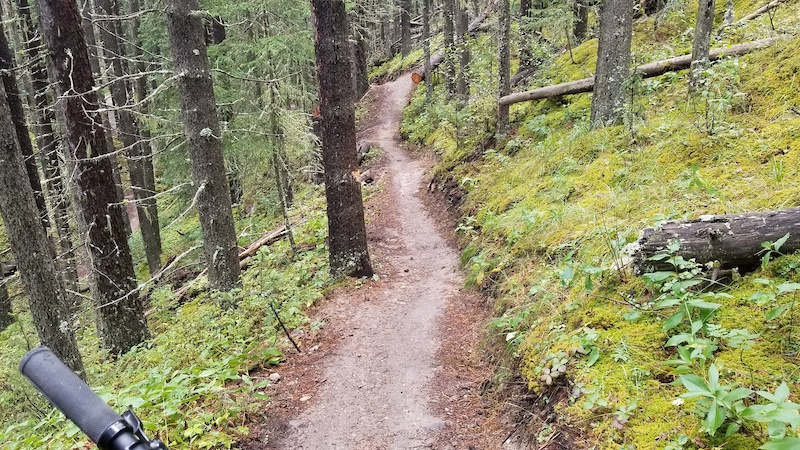Rundle Riverside Connector Mountain Biking Trail - Canmore