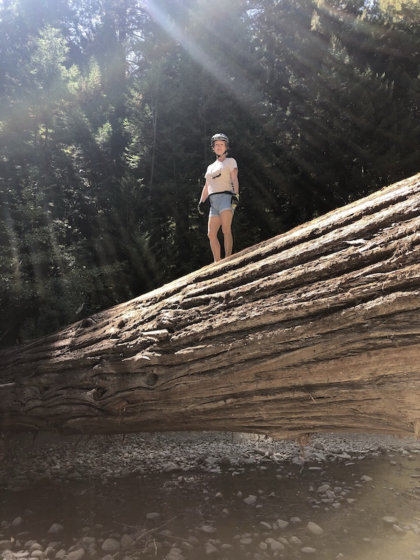 Ridenour Preserve Mountain Biking Trails | Trailforks