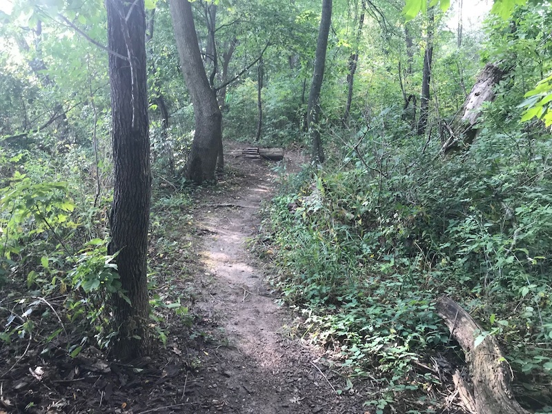 Mid Michigan Region Mountain Biking Trails | Trailforks