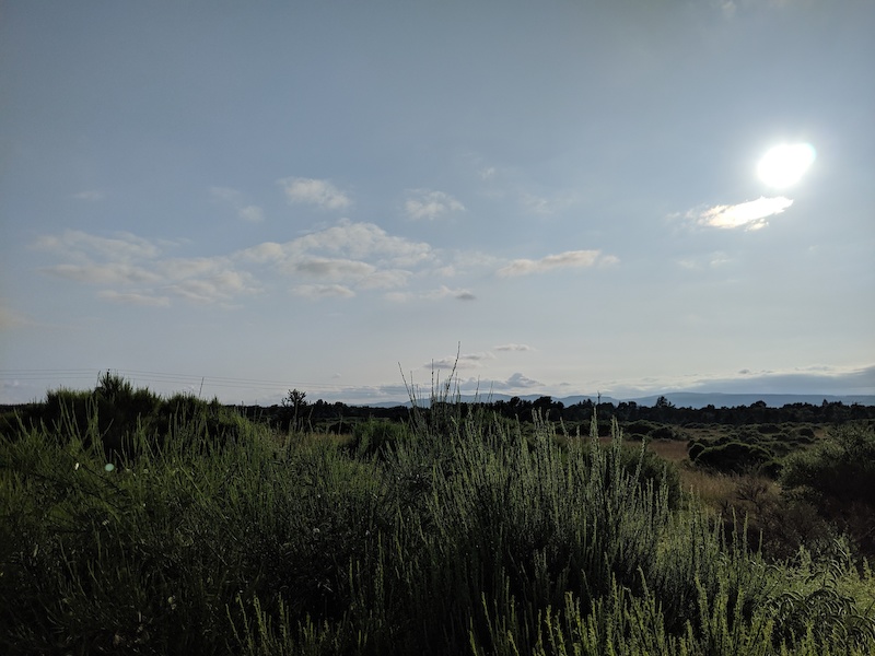 The Badger Divide Mountain Biking Route | Trailforks