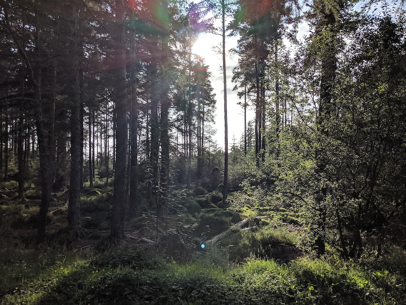 The Badger Divide Mountain Biking Route | Trailforks