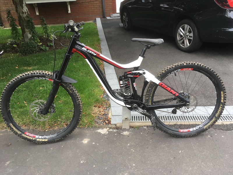 Giant Glory Custom Large (top spec) For Sale