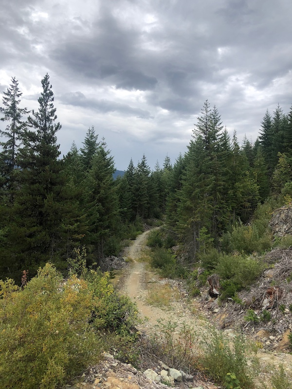 Green Lake Loop Multi Trail - Whistler, British Columbia