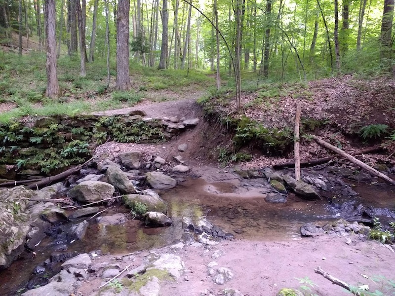 Yellow Trail (West) Mountain Biking Trail - Agawam