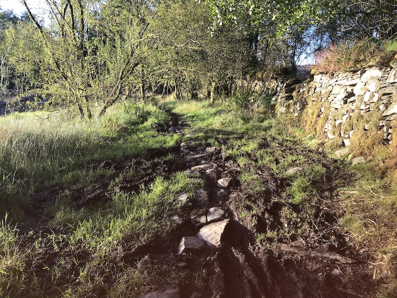 Tech DH Mountain Biking Trail - Helensburgh | Trailforks