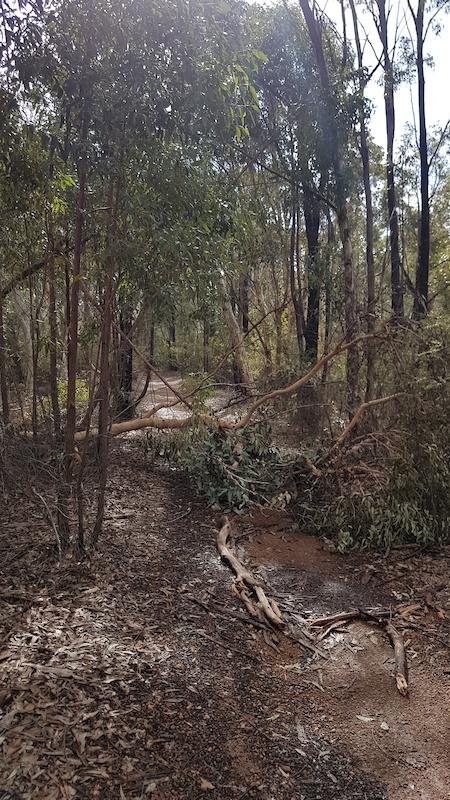 Munda Biddi - Oakley Dam To Nanga Mountain Biking Trail