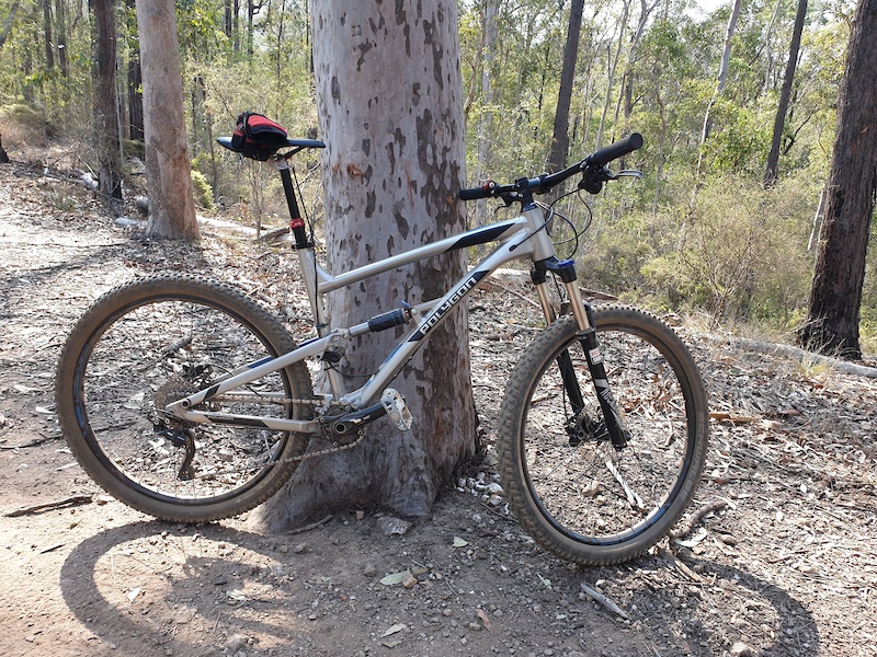 Wagtail Way Mountain Biking Trail - Brisbane