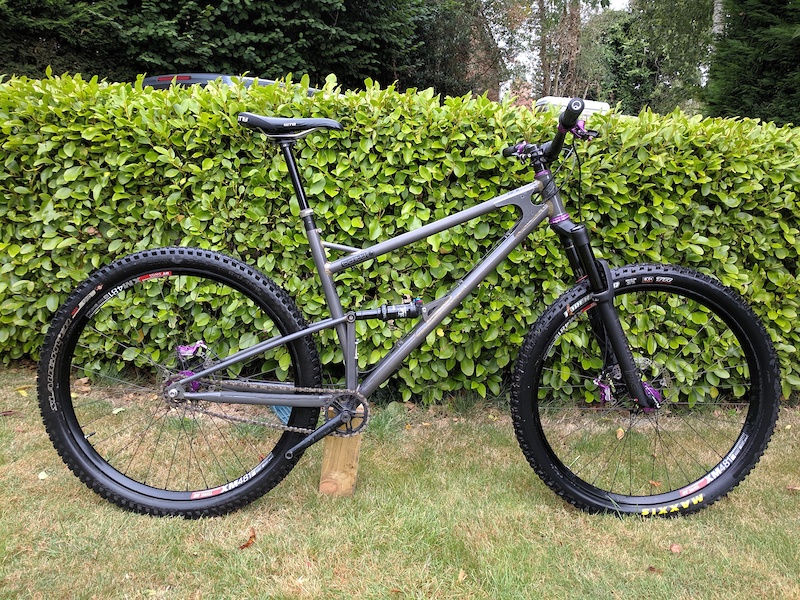 2018 Starling Beady Little Eye 29er Frame For Sale