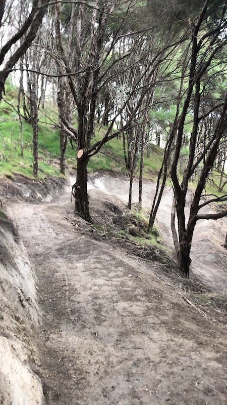 Manutuke Eco Retreat Mountain Biking Trail - Gisborne