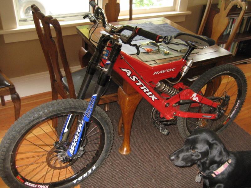 Astrix Havoc DH Race Bike..... For Sale