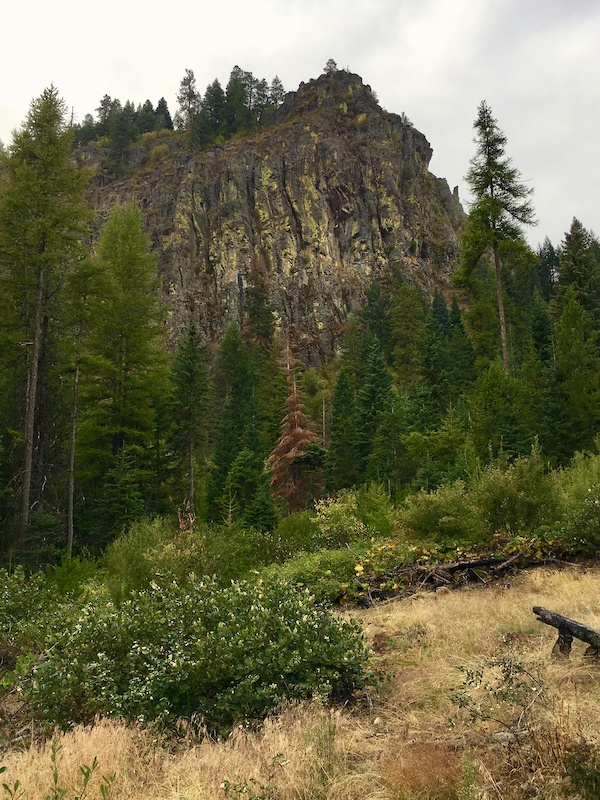 Mount Emily Road Mountain Biking Trail - La Grande