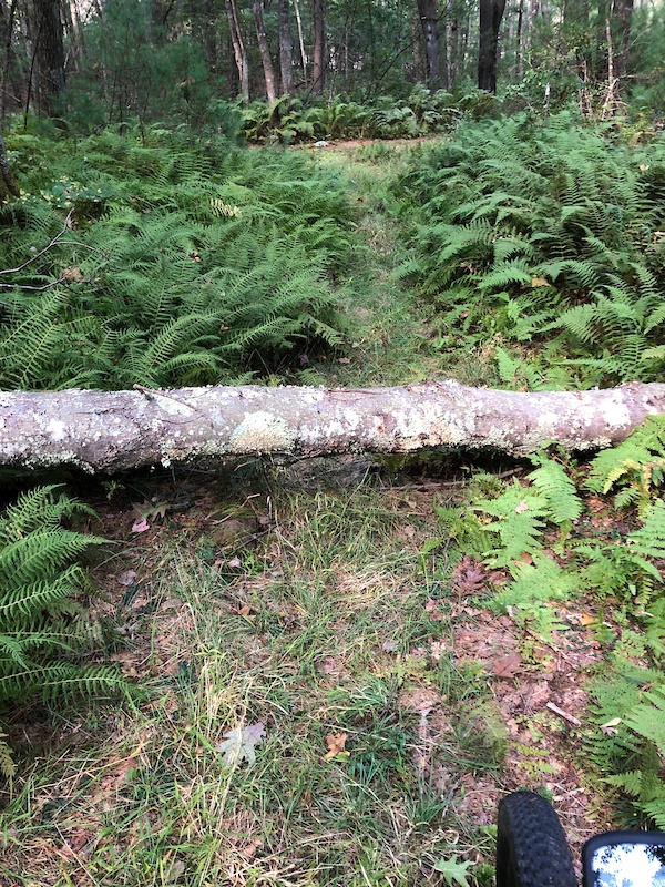 BCT - Georgetown Rowley Multi Trail - Georgetown, MA