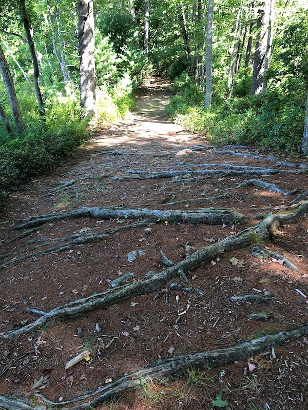 BCT - Hood Pond to Georgetown Rowley Multi Trail - Boxford
