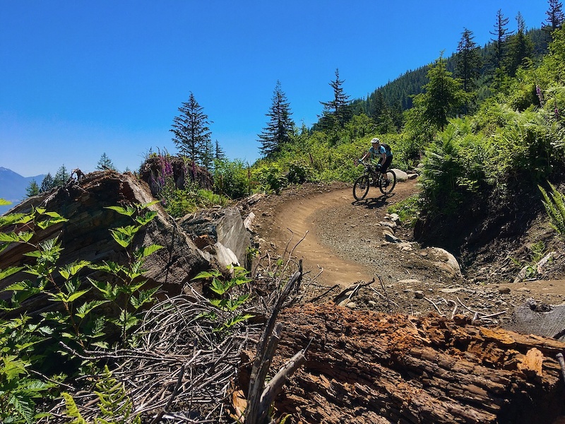 Raging Loop to Avoid Logging Closures Mountain Biking Route | Trailforks