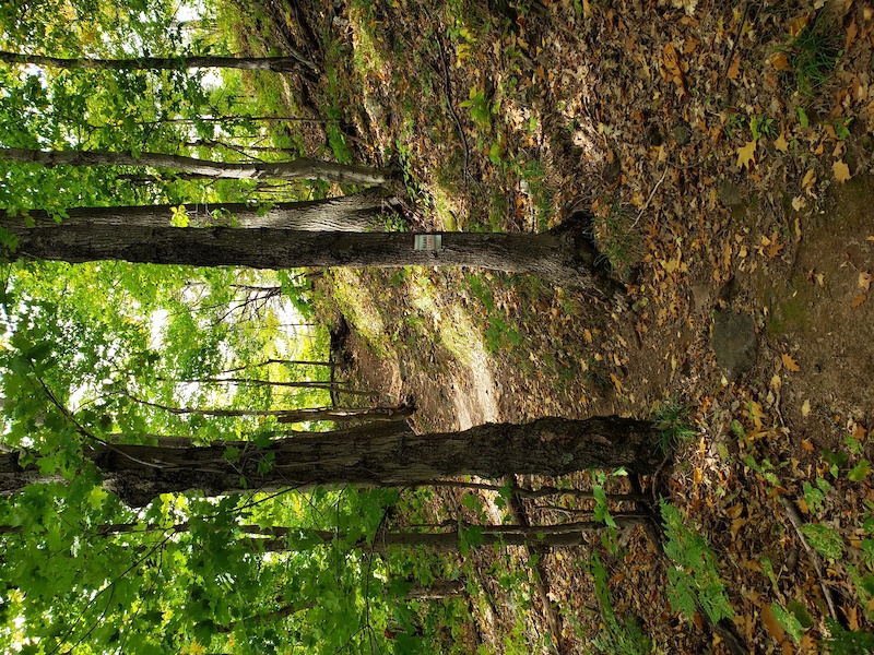 Marji Gesick 50 2023 Race Course Official Mountain Biking Route ...