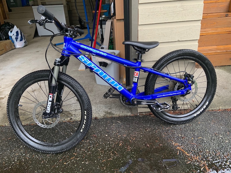 2016 Spawn 20" Savage 2.0 For Sale