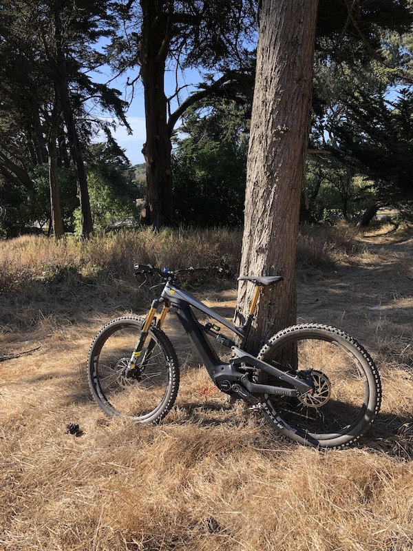 Mount Sutro Loop Hiking Route | Trailforks