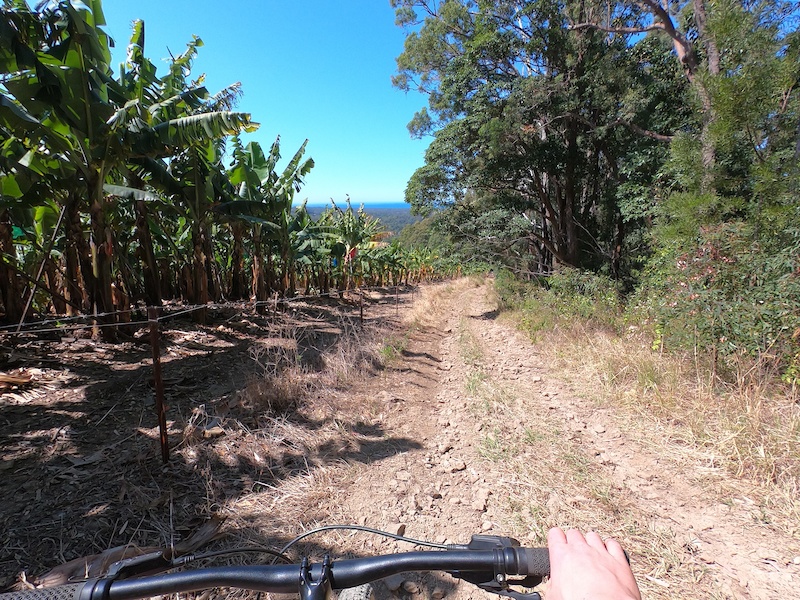 Downhill Mt Coramba Mountain Biking Trail - Coffs Harbour
