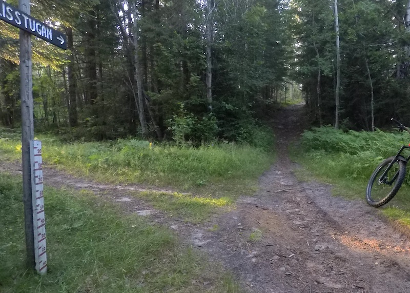 The Heat Is On Mountain Biking Route | Trailforks