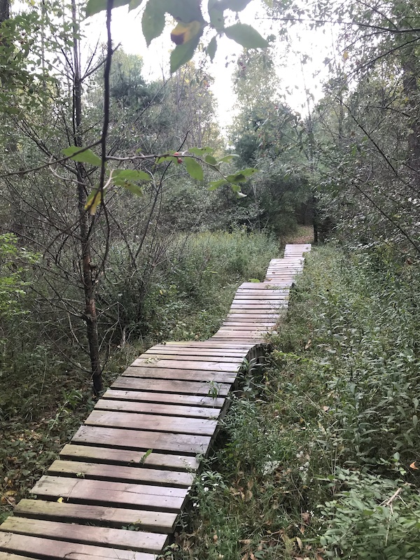 Village Of Maribel Wi