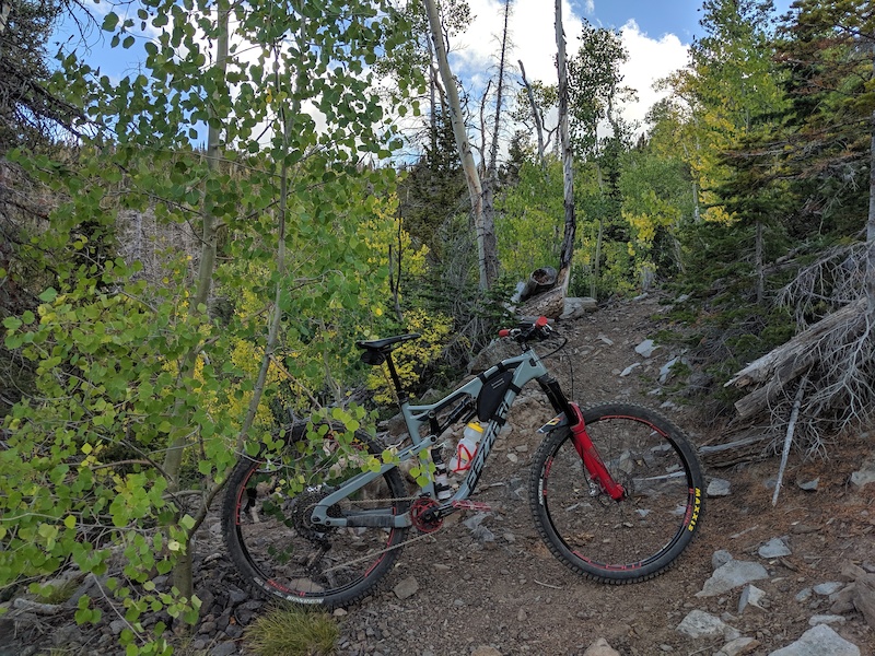 Tasha Creek Hiking Trail - Fish Lake, Lyman, Utah