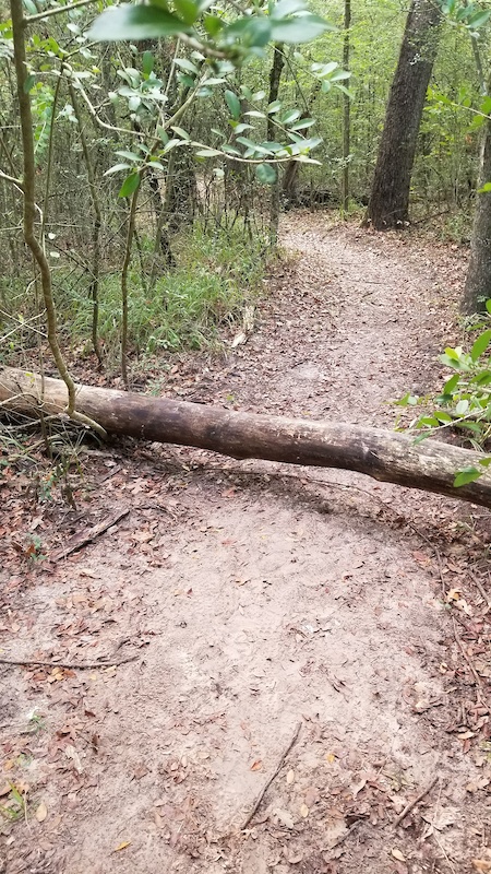 Munnerlyn Loop Multi Trail - Lake Bryan, Bryan, Texas