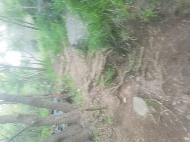 Wattle trail Multi Trail - Adelaide | Trailforks