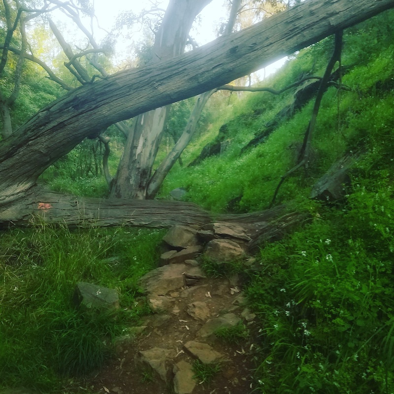 Sturt Gorge Loop Mountain Biking Route | Trailforks