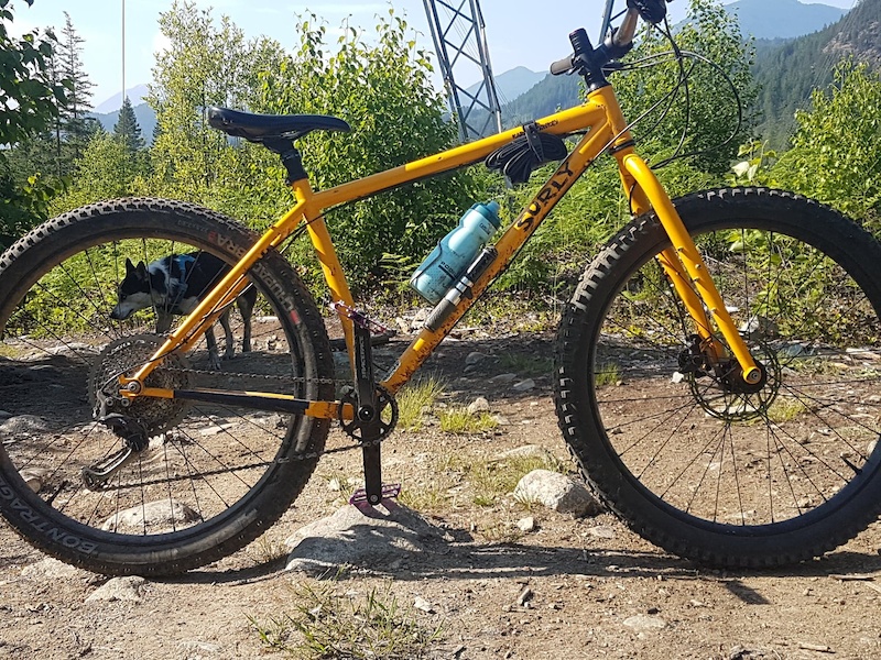 2018 Large Surly Karate Monkey For Sale