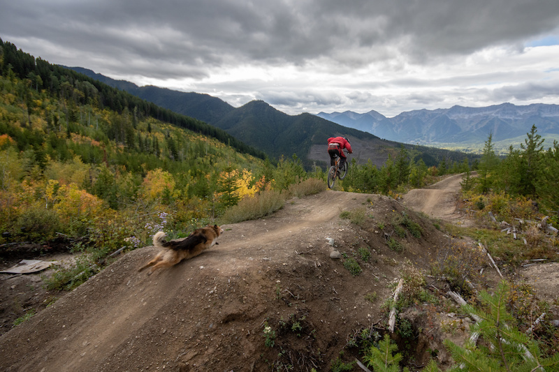 Contra With Easy Climb Mountain Biking Route | Trailforks