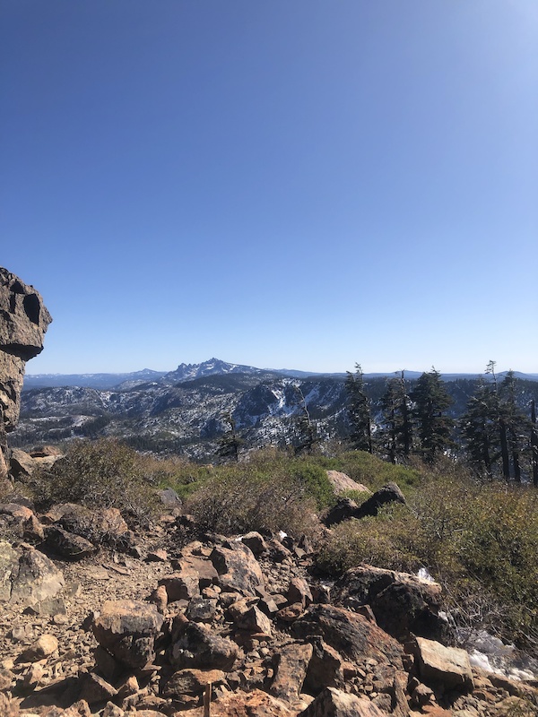 Mills Peak Shuttle - Mt. Elwell Descent Mountain Biking Route | Trailforks