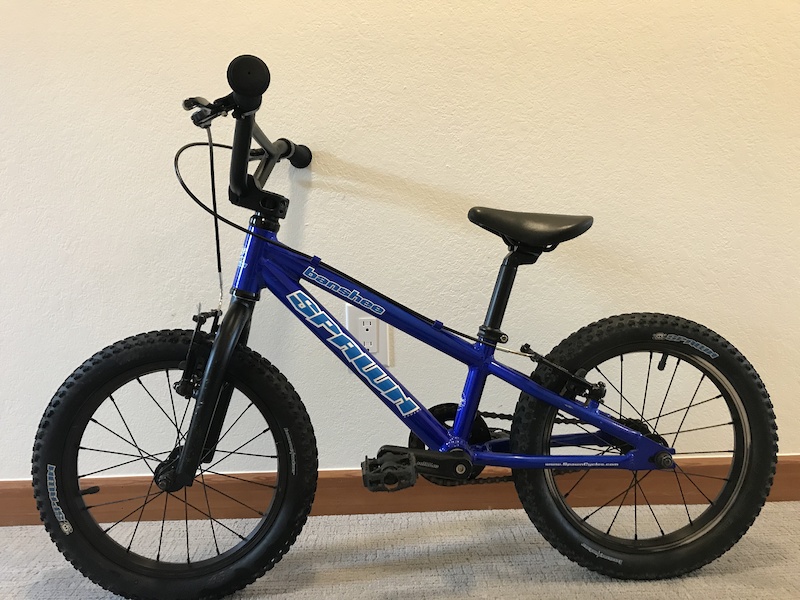 2015 Spawn Banshee (16") For Sale