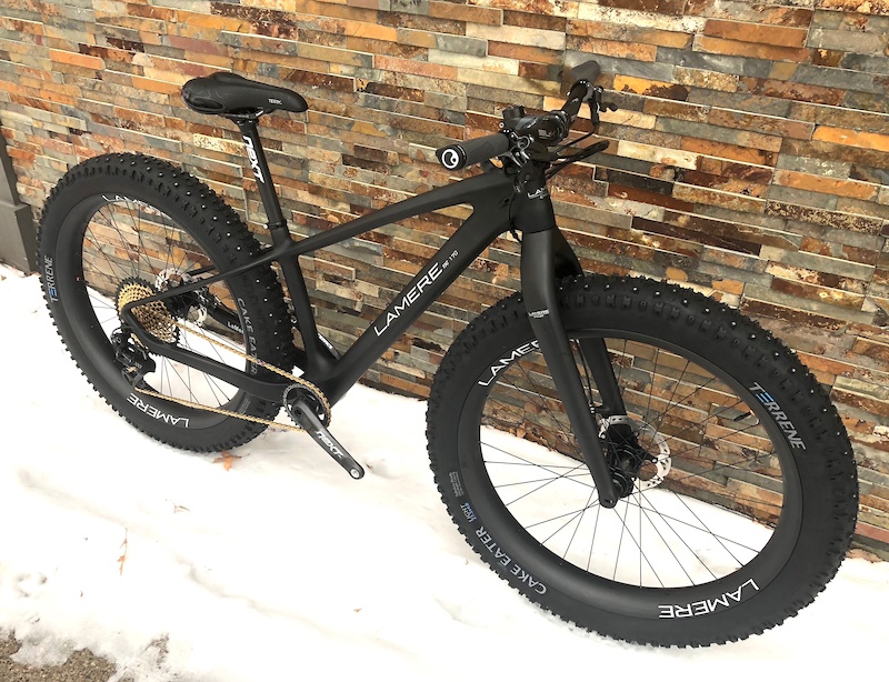 2019 Custom Carbon LaMere Fat Tire bike For Sale