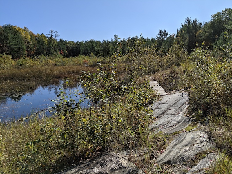 District of Parry Sound Mountain Biking Trails | Trailforks