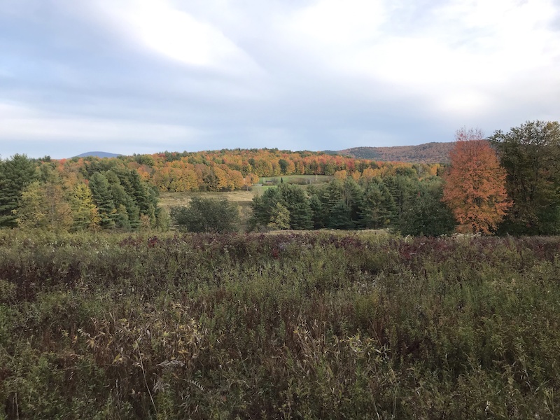 Valley View Mountain Biking Trail - Jericho, Vermont