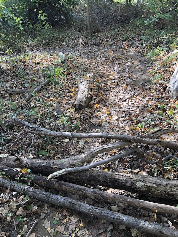 Tumbleweed Multi Trail - Pleasantville, New York
