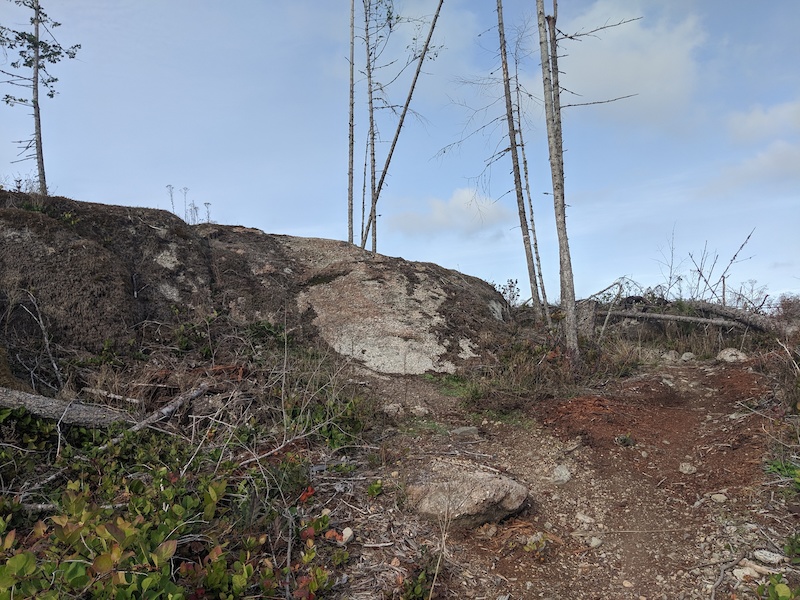 Ridge Runner 3 Mountain Biking Route | Trailforks