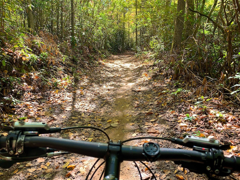 Pine Tree Loop Multi Trail - Bent Creek, North Carolina