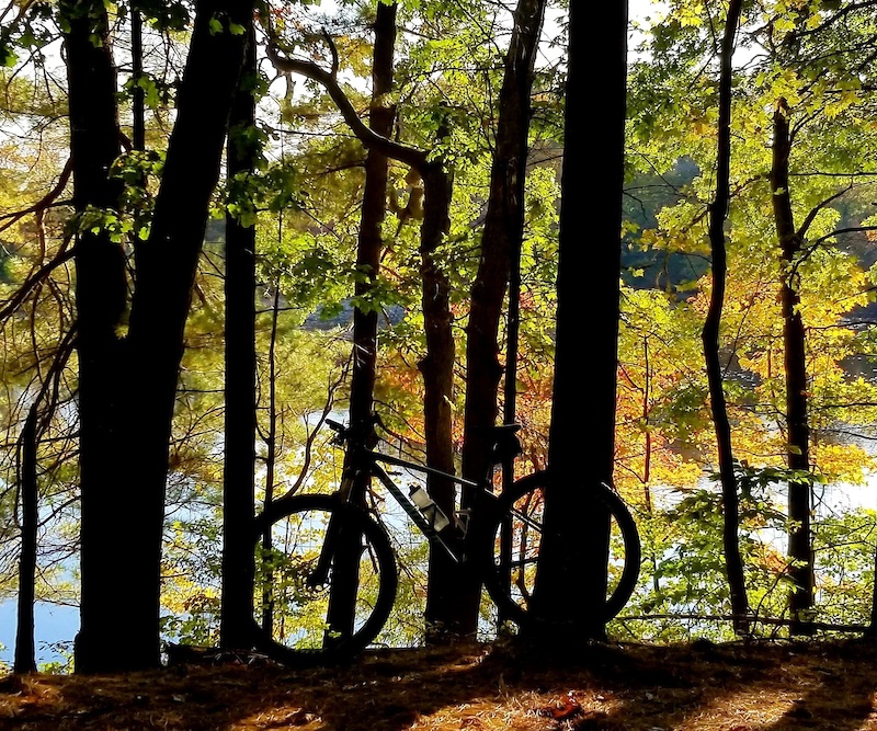Borderland Road Multi Trail - Sharon, Massachusetts