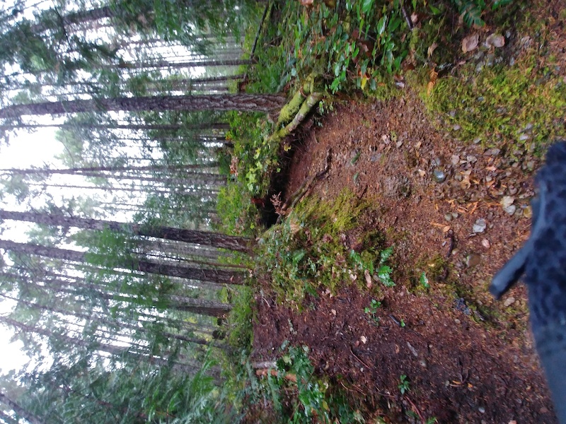 Gravity Cavity Mountain Biking Trail - Nanaimo, BC