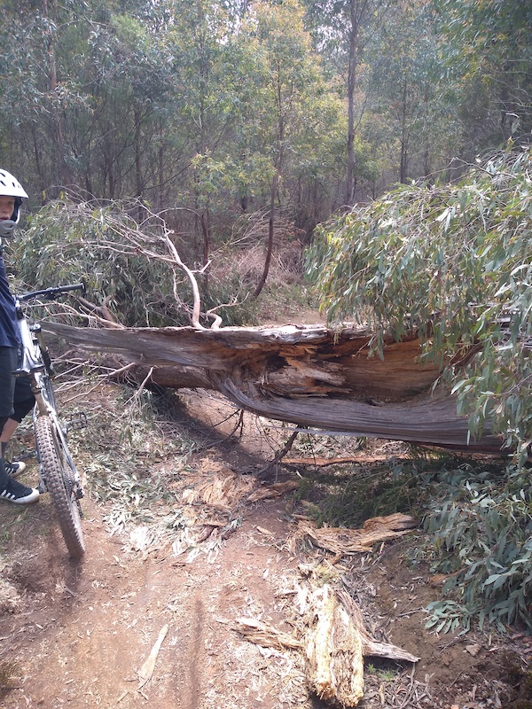 Off Camber Mountain Biking Trail - Buxton | Trailforks
