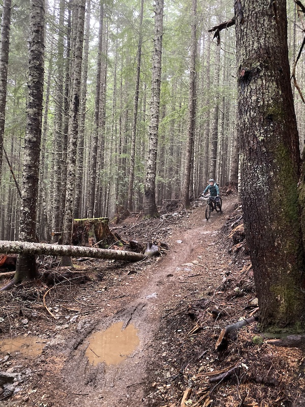Skyline Mountain Biking Trail - Darrington, Washington