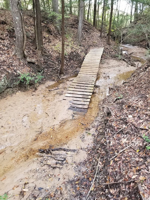 Wayback Multi Trail - Lake Bryan, Bryan, Texas