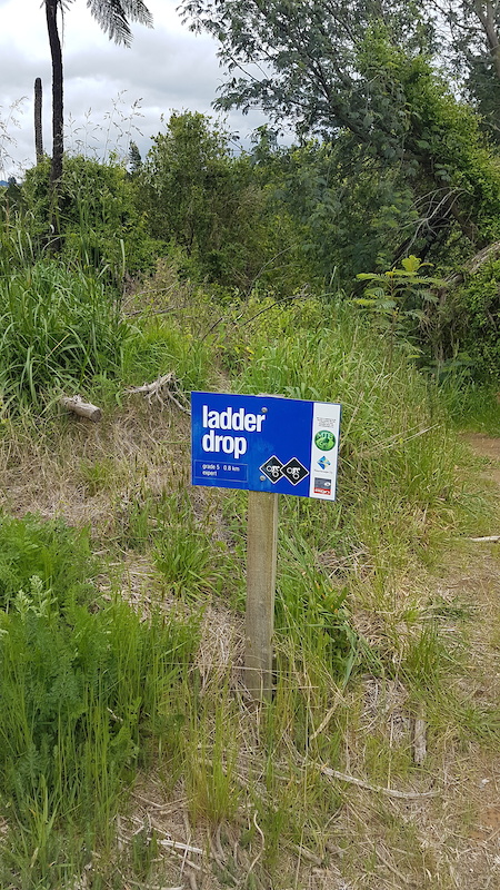 Ladder Drop Mountain Biking Trail - Tauranga